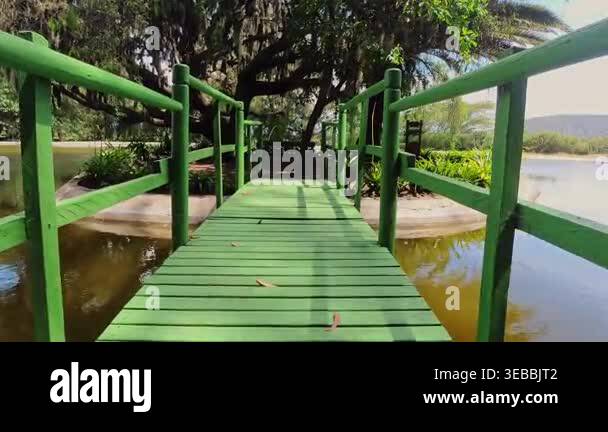 Beautiful view of a green bridge over a lake, surrounded by vegetation ...