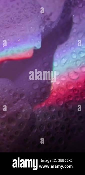 Vertical video. Rainbow bloom. Neon floral background. Defocused purple ...
