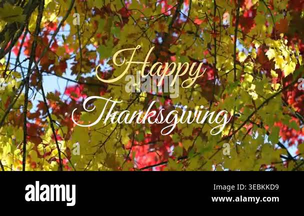 Animation of happy thanksgiving text and autumn leaves falling against ...