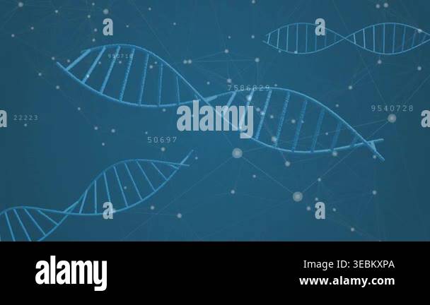 Timeline running, DNA helix shifting right while nodes moving, labels ...
