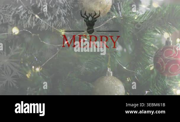 Animation of christmas greetings text over christmas tree and ...