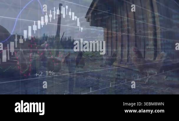 Animation of financial data processing over farm with chickens. Global ...