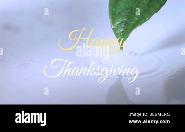 Animation of happy thanksgiving text over leaf. Thanksgiving day ...