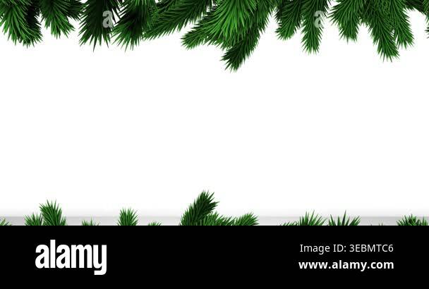 Green christmas tree branches with copy space on white background ...