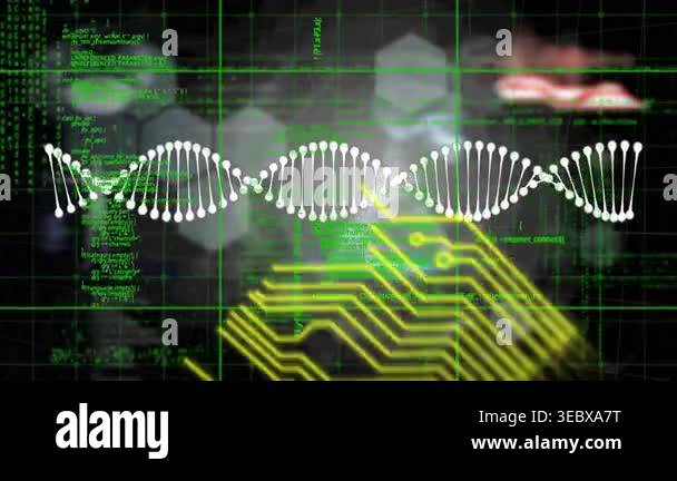 Animation of microprocessor connections and data processing against ...