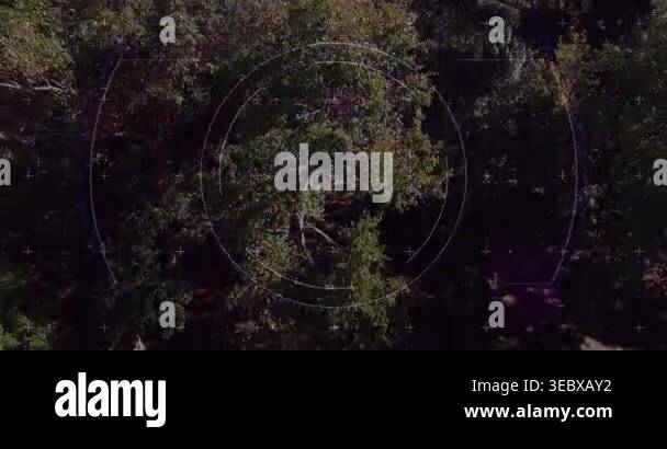 Targeting circle animation over aerial view of grassy area with trees ...