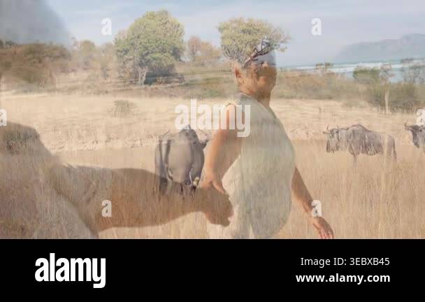 Entering frame, senior woman walking tall yellow grass past grazing ...