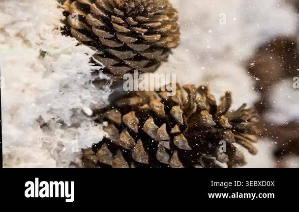 Animation of light trails and snow falling over cones at christmas ...