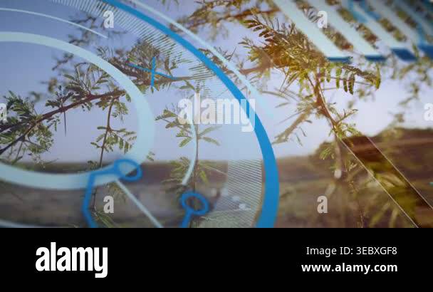 Close-up thorny branch initiating 3D rings growing rotating, grid ...