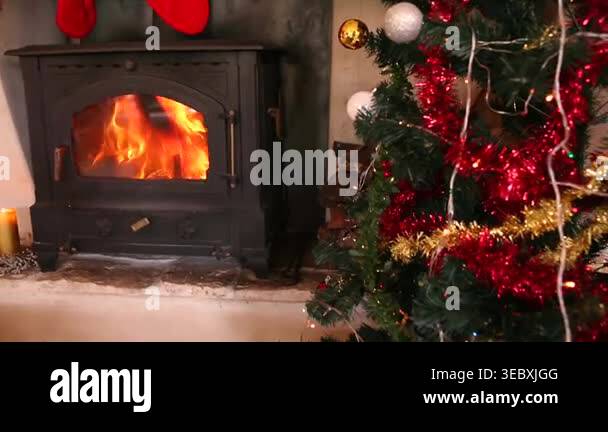 Animation of feliz navidad over christmas tree. christmas, tradition ...