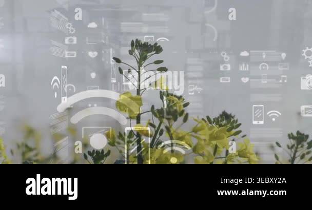 Animation of data processing and diagrams over flower field. Global ...