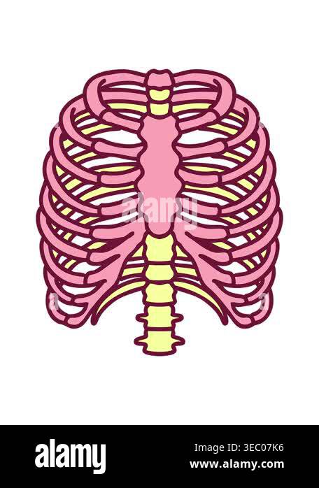 shine light effect animation of iconic tattoo style image of a rib cage ...