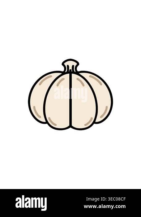 flashy sales animation of japanese culinary kabocha pumpkin squash ...