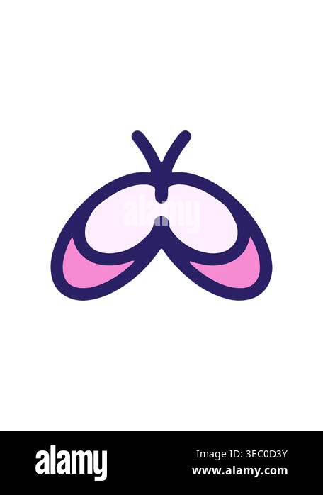 shivering motion animation of simple fun cute butterfly Stock Video ...
