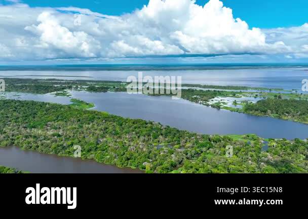 aerial view of a serene river delta surrounded by lush green forest and ...