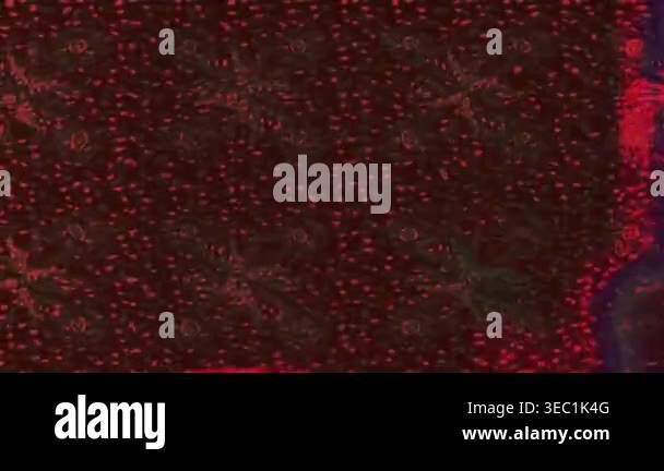 Motion footage background with colorful elements. Flowers. Vintage ...