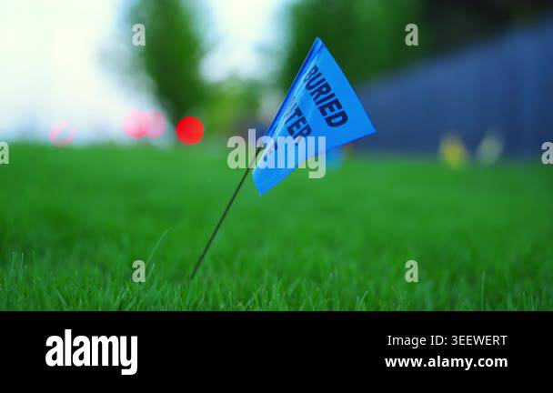 Blue buried water line utility marker flag in grass. safety warning ...