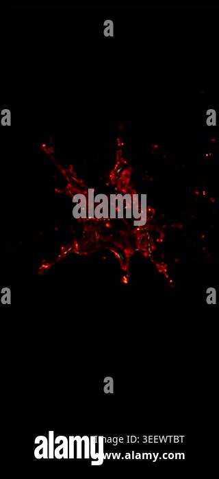 Ultra slow motion blood splash isolated on black background. Realistic ...