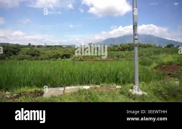Journey through rice fields and mountain landscapes under a bright blue ...