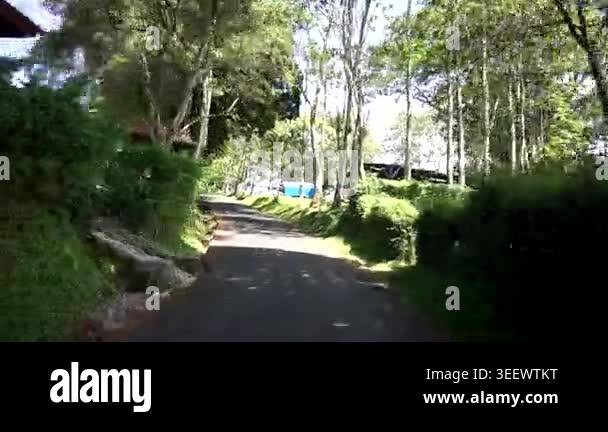 Travel video along a countryside road surrounded by shady trees and a ...