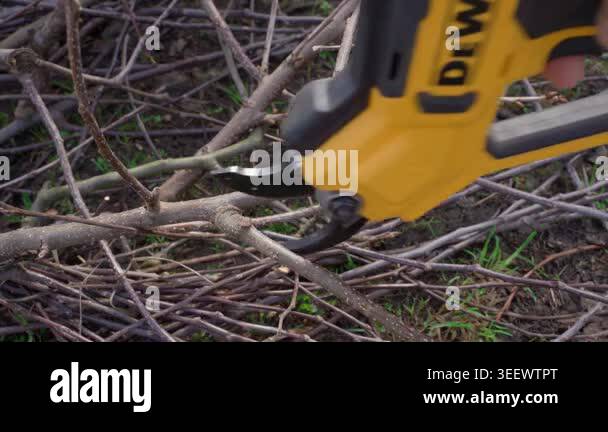 Kyiv, Ukraine - April 5, 2026: Close-up of DeWalt battery powered ...