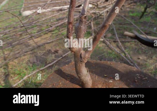Kyiv, Ukraine - April 5, 2026: Close-up of DeWalt battery powered ...