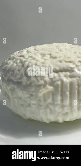 Macro Texture of Fresh White Farmers Cheese, Detailed Organic Dairy ...