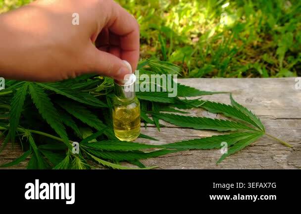 Cannabis supplements and homeopathy. Selective focus. Nature Stock ...