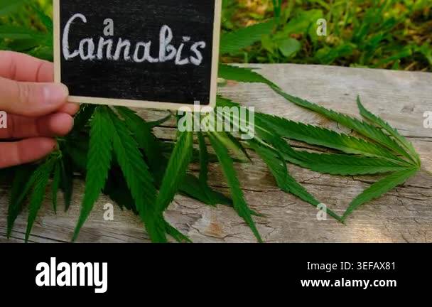 Cannabis supplements and homeopathy. Selective focus. Nature Stock ...