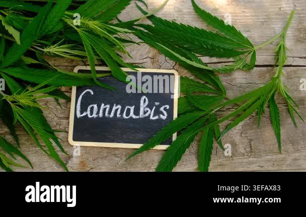 Cannabis supplements and homeopathy. Selective focus. Nature Stock ...