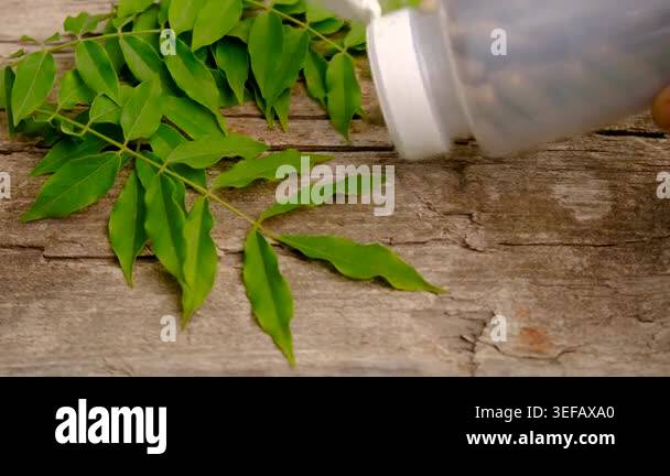 Moringa essential oil and supplements. Selective focus. nature Stock ...