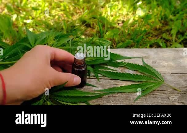 Cannabis supplements and homeopathy. Selective focus. Nature Stock ...