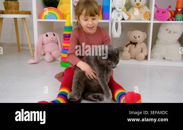 A child plays with a cat at home. Selective focus. Kid Stock Video ...