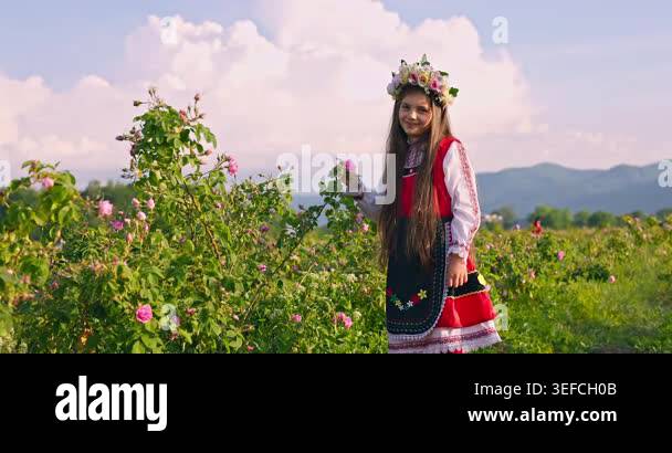Bulgarian girl in traditional ethnic folklore costume pick aromatic oil ...