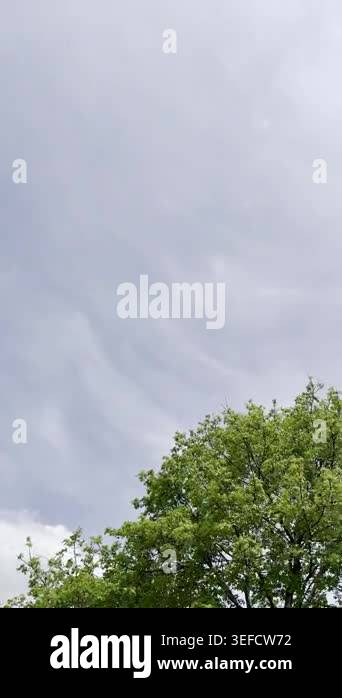 Beautiful Blue Spring Summer Sky with Light White Clouds, Slow Camera ...