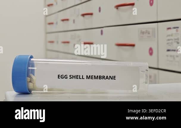 EGG SHELL MEMBRANE tablets used to support joint health and cartilage ...