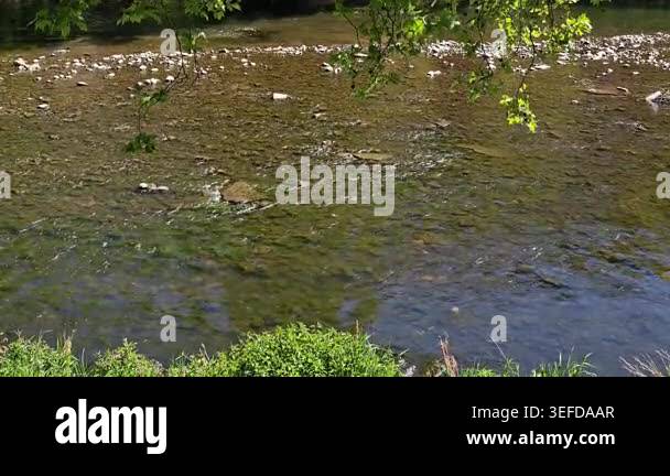 Shallow Rocky Stream With Currents, Visible Stones And Clear Water ...