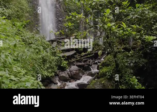 Serene Late Afternoon Scene in Costa Ricas Rainforest Woman Poses by a ...