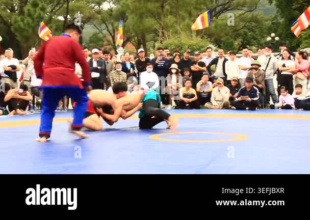 The traditional wrestling festival of Con Son - Kiet Bac. Wrestlers ...