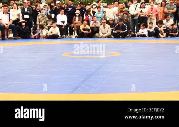 The traditional wrestling festival of Con Son - Kiet Bac. Wrestlers ...
