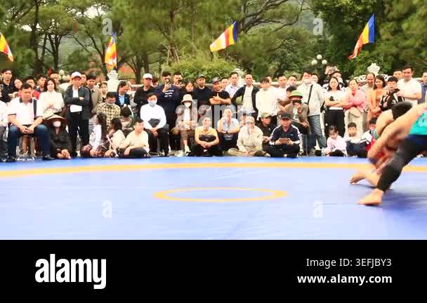 The traditional wrestling festival of Con Son - Kiet Bac. Wrestlers ...