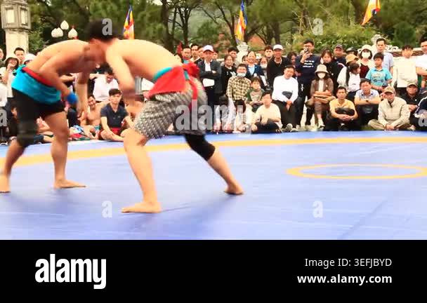 The traditional wrestling festival of Con Son - Kiet Bac. Wrestlers ...