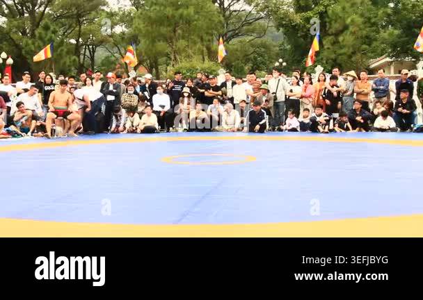The traditional wrestling festival of Con Son - Kiet Bac. Wrestlers ...