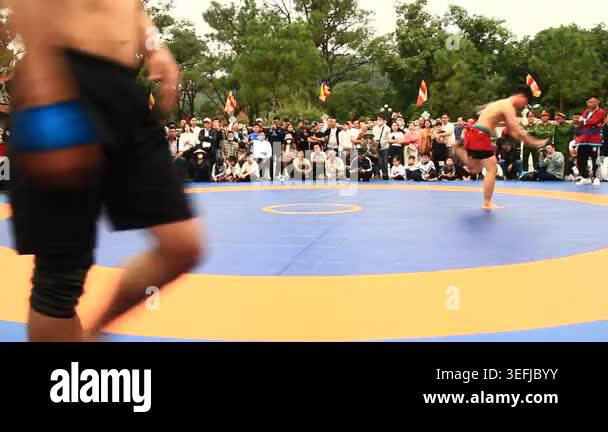 The traditional wrestling festival of Con Son - Kiet Bac. Wrestlers ...
