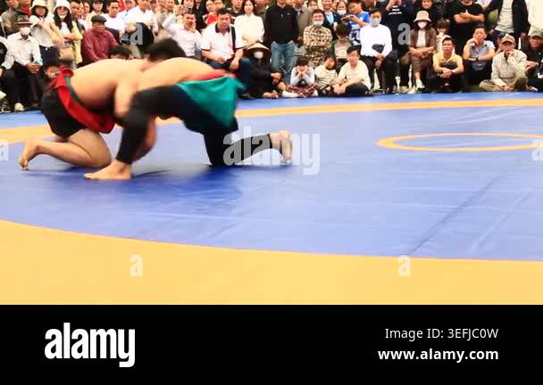 The traditional wrestling festival of Con Son - Kiet Bac. Wrestlers ...