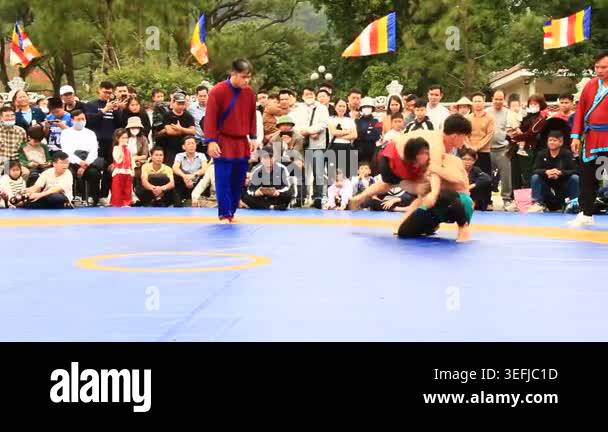 The traditional wrestling festival of Con Son - Kiet Bac. Wrestlers ...