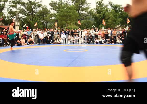 The traditional wrestling festival of Con Son - Kiet Bac. Wrestlers ...