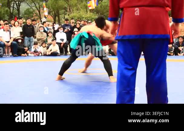 The traditional wrestling festival of Con Son - Kiet Bac. Wrestlers ...