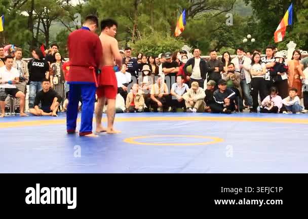 The traditional wrestling festival of Con Son - Kiet Bac. Wrestlers ...