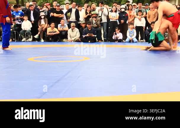 The traditional wrestling festival of Con Son - Kiet Bac. Wrestlers ...